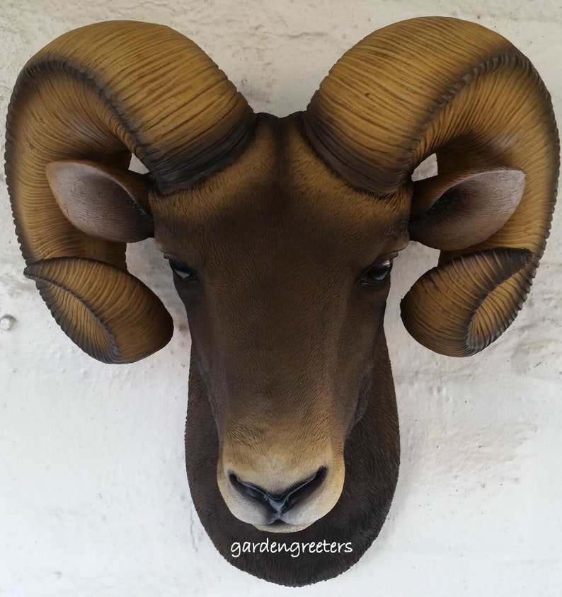 Ram Head Wall Mount Bighorn Ram Head Statue - Etsy