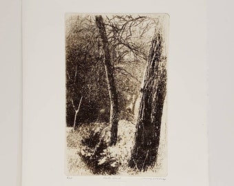 Jackson Lee Nesbitt Etching november Evening 1946, Signed - Etsy