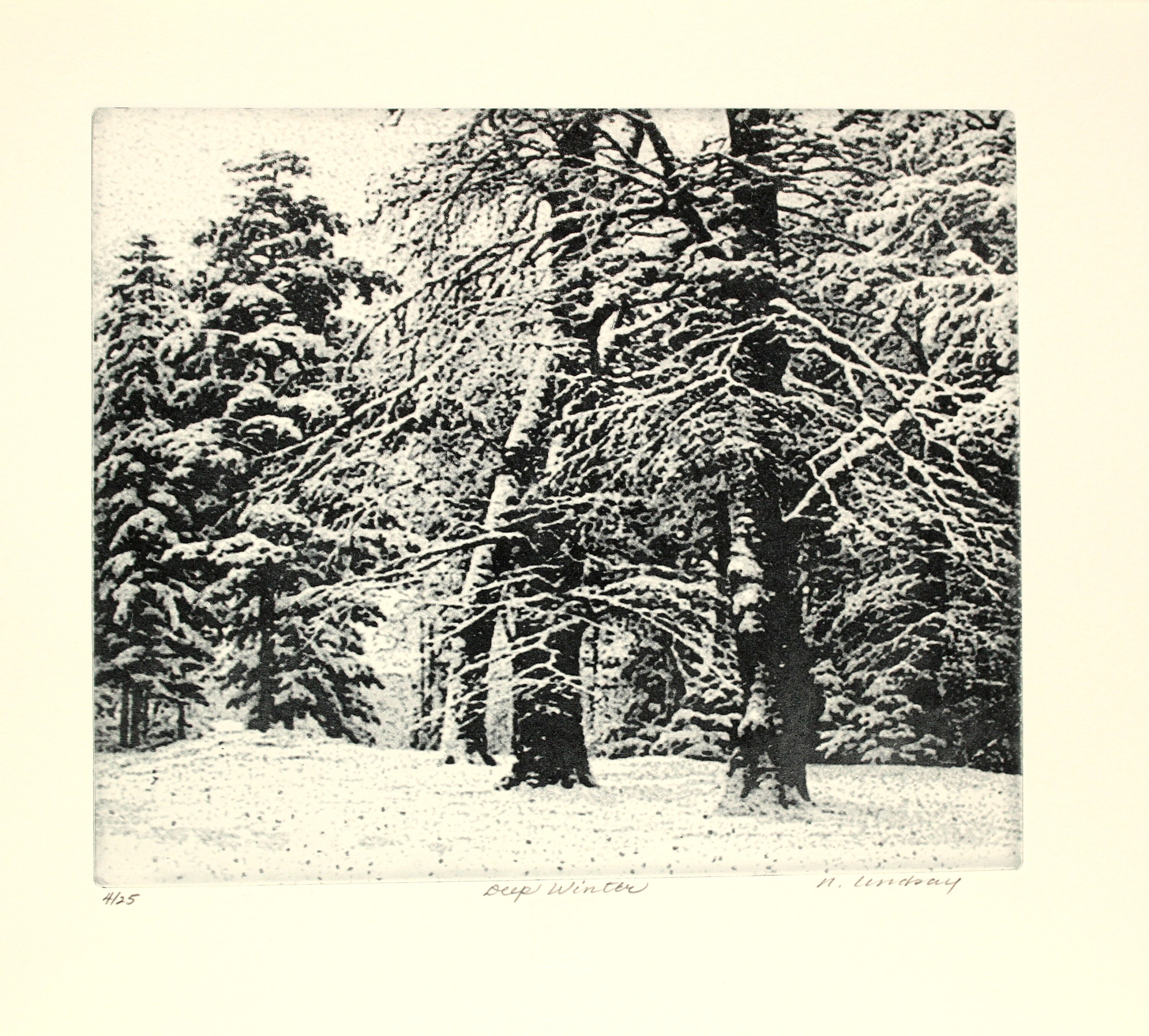 Original Etching Titled "deep Winter" Signed by Artist - Etsy UK