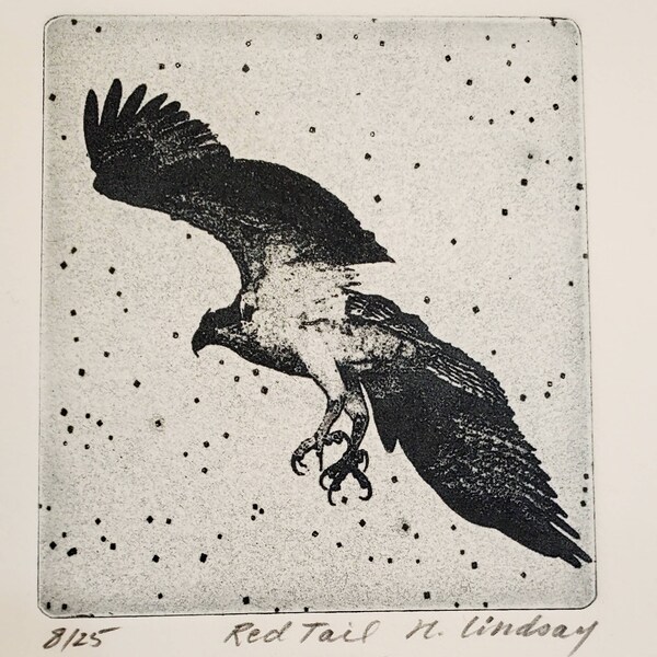 Red Tail Hawk - Etsy