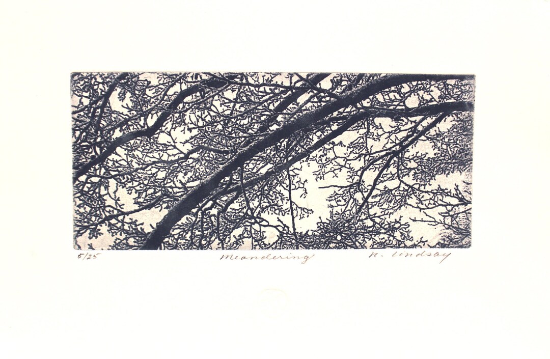 Original Etching Titled "meandering" Artist Signed - Etsy
