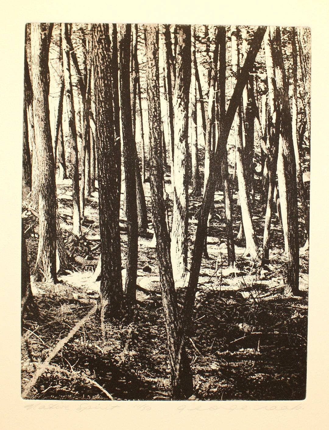 Native Spirit, Original Etching Signed by Award Winning Artist George ...