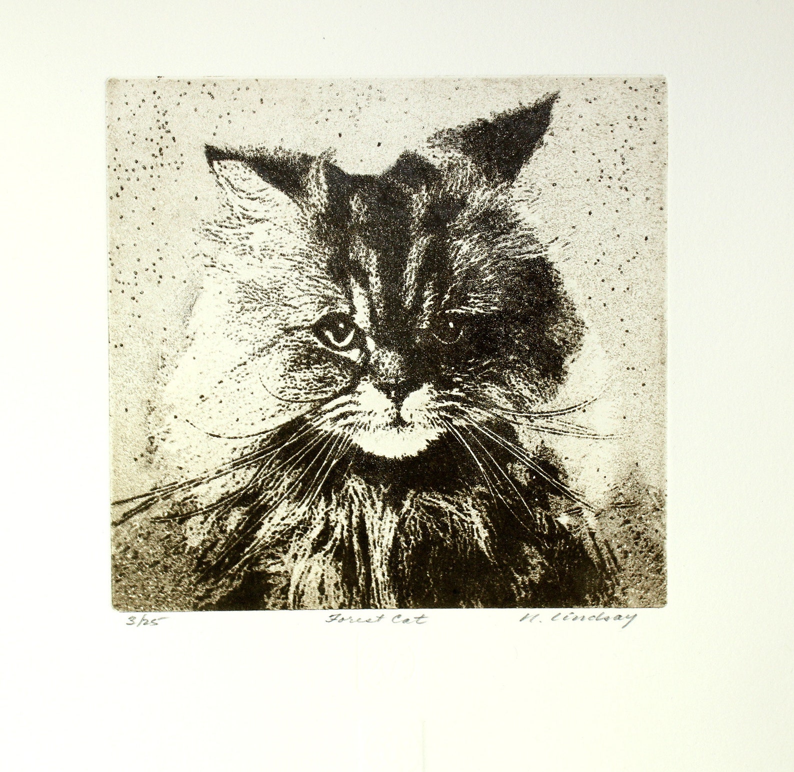 Original etching titled Forest Cat signed by | Etsy