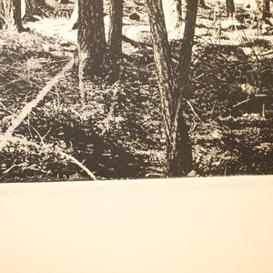 Native Spirit, Original Etching Signed by Award Winning Artist George ...