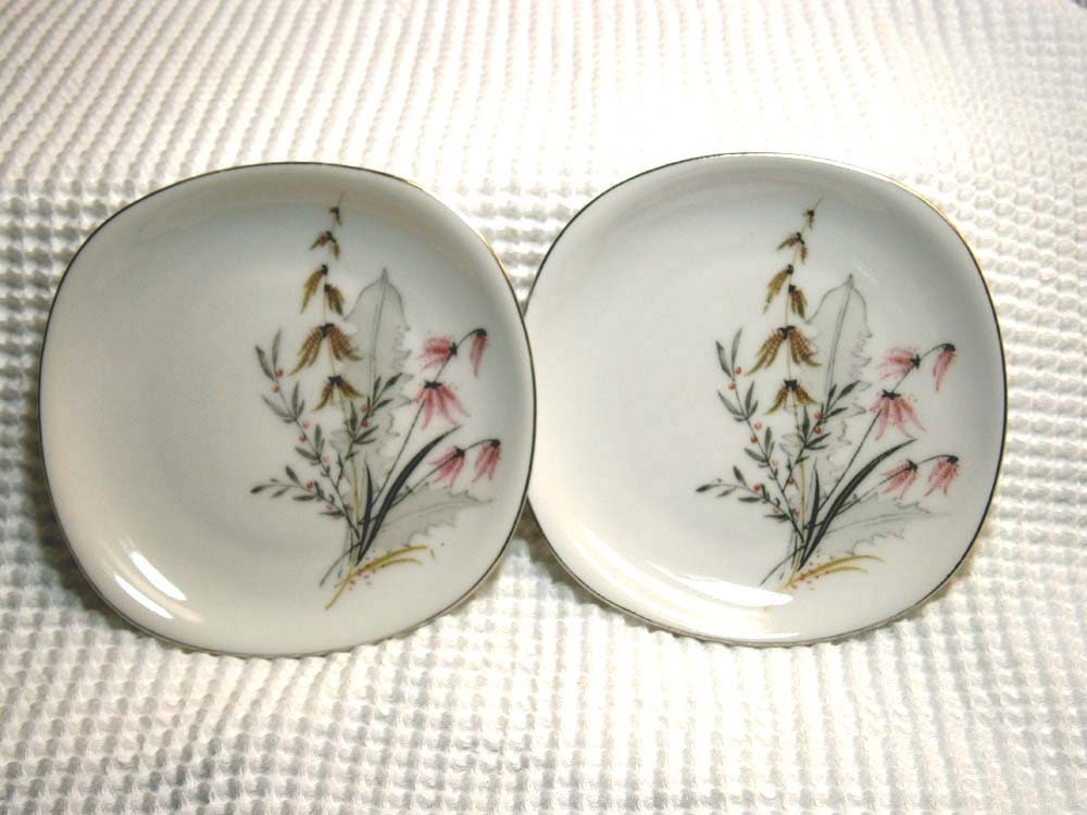A Cute Pair of Small Tea Plates Made by Schwarzenhammer Bavaria ...