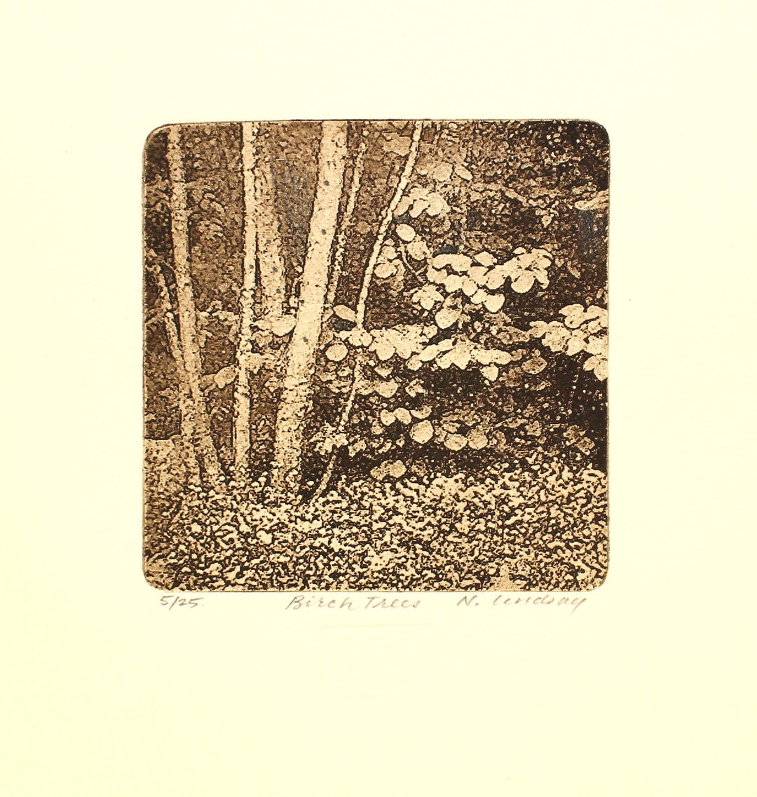 Birch Trees, Signed Etching, Intaglio Print - Etsy