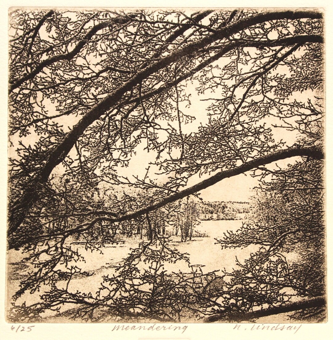 Original Etching Titled "meandering" Signed by Artist - Etsy