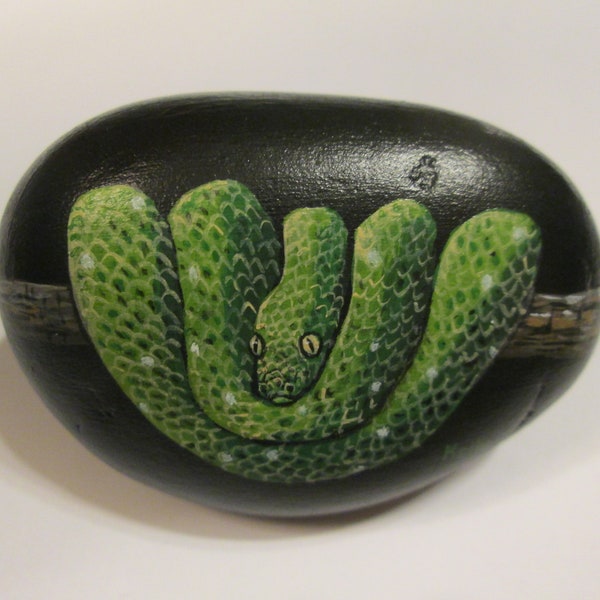 Snake Painted Rock - Etsy