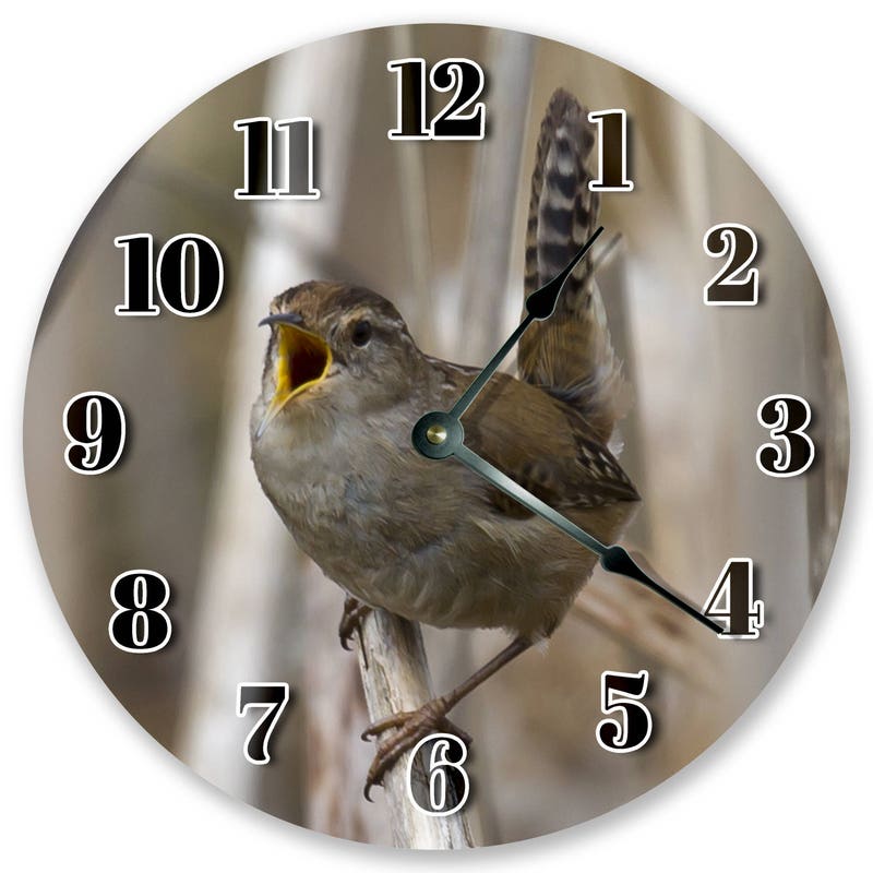 Birds Wall Clock - Etsy