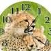10.5 TWO LOVING CHEETAHS Clock Large 10.5 Wall - Etsy
