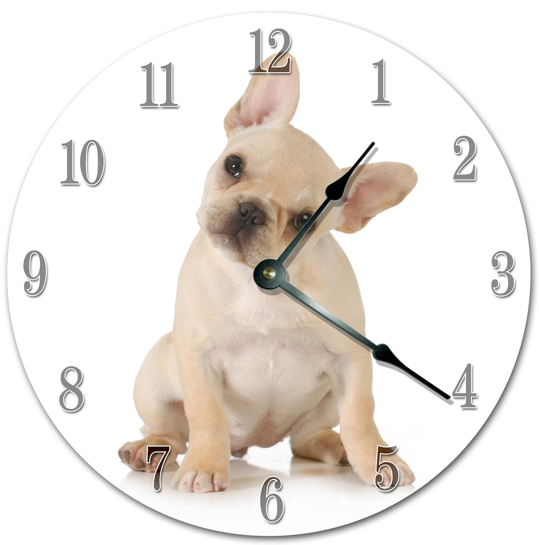 10.5 CREAM FRENCH BULLDOG Puppy Clock Living Room Clock Large 10.5 Wall ...