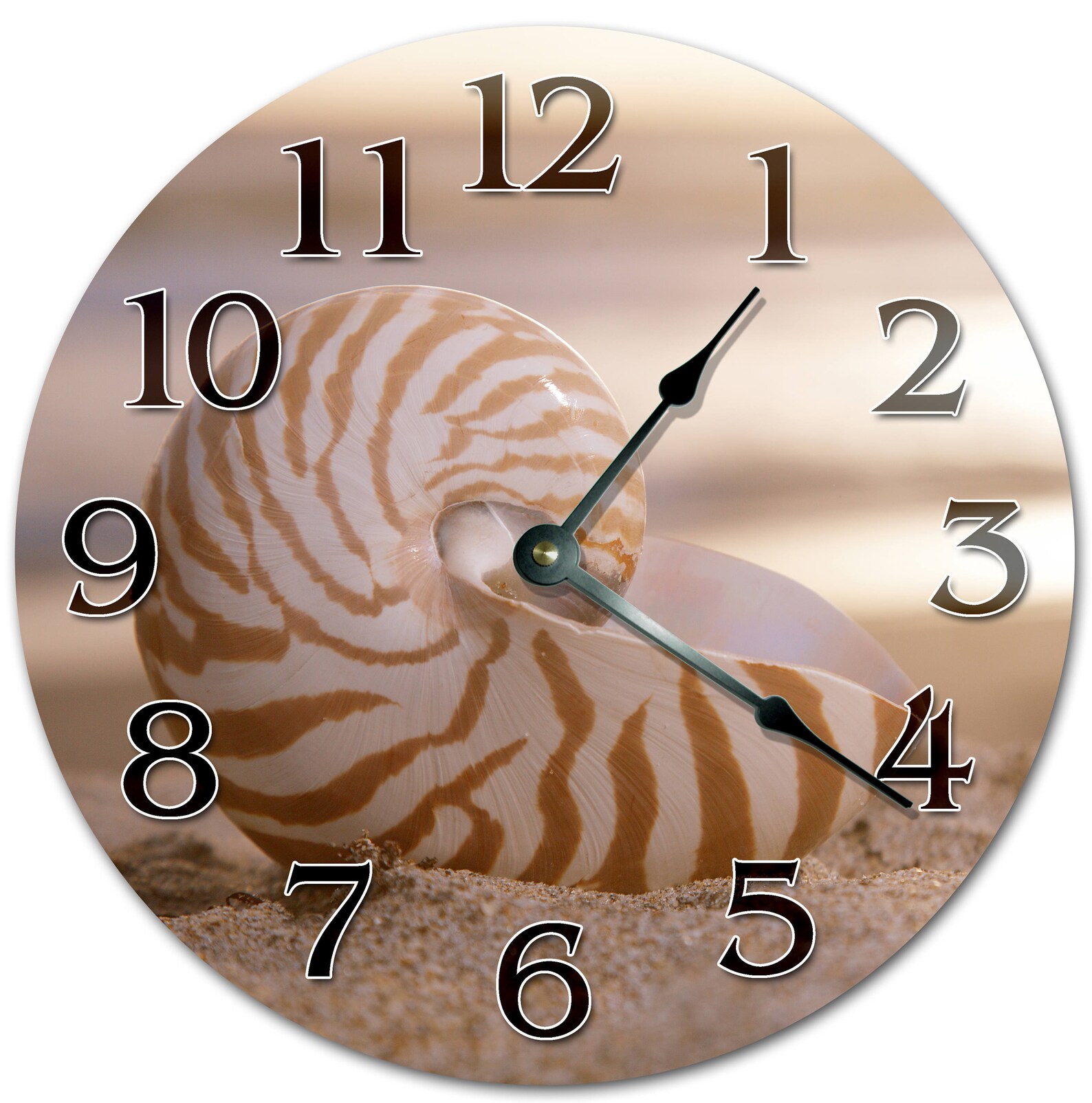 10.5 NAUTILUS SHELL Clock Living Room Clock Large - Etsy