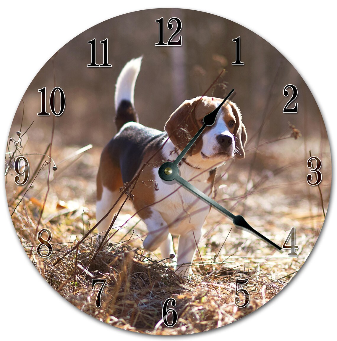 10.5 CUTE BEAGLE DOG Clock Living Room Clock Large | Etsy