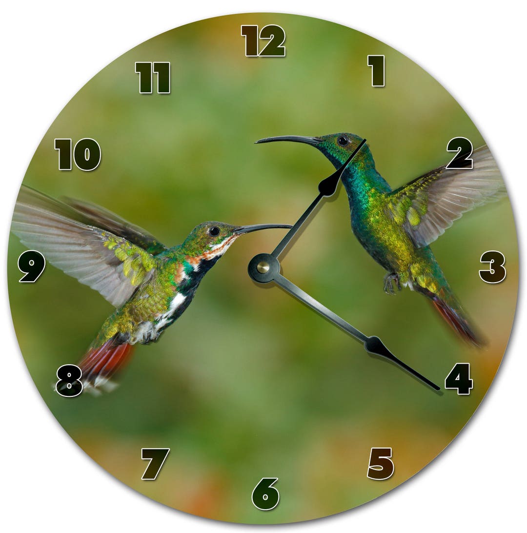 10.5 PLAYING HUMMINGBIRDS Clock Living Room Clock - Etsy