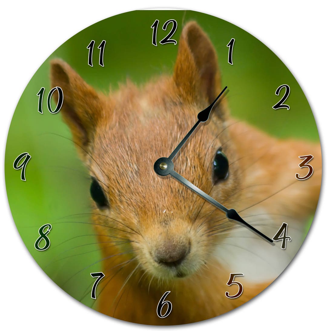 10.5" STARING SQUIRREL Clock - Living Room Clock - Large 10.5" Wall Clock - Home Décor Clock ...