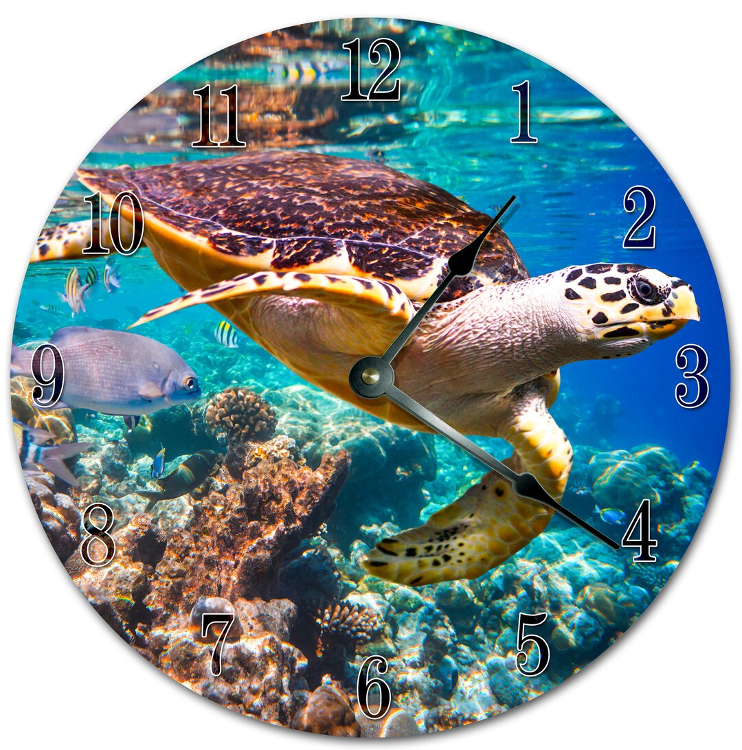10.5" MAJESTIC TURTLE in SEA Clock - Living Room Clock - Large 10.5 ...