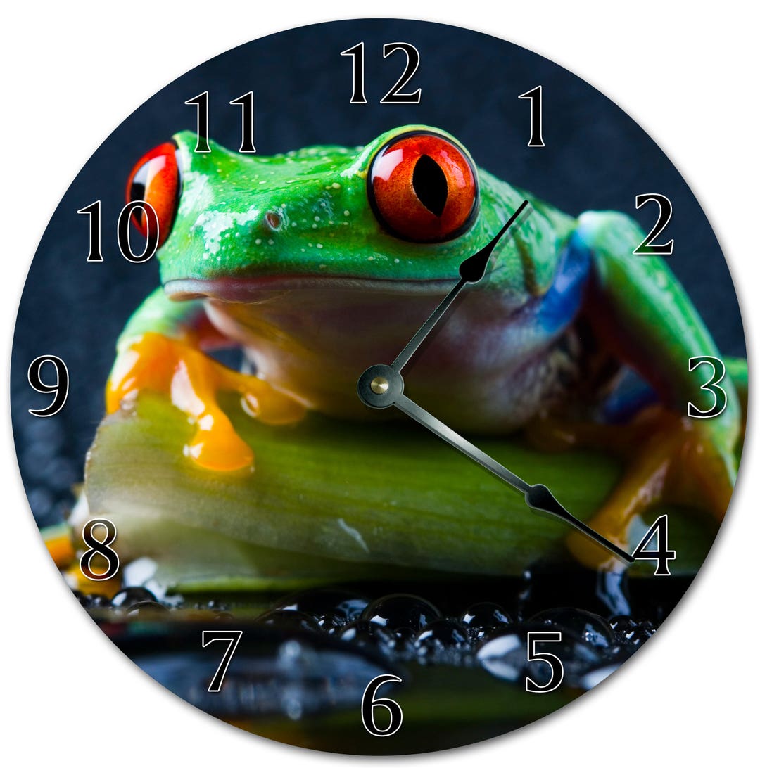 10.5" Amazon POISON DART FROG Clock - Living Room Clock - Large 10.5 ...