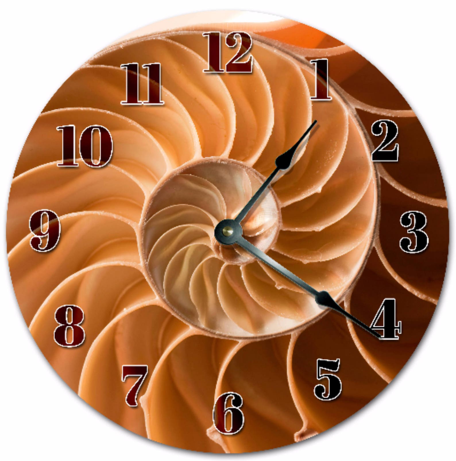 10.5 NAUTILUS SHELL Clock Living Room Clock Large - Etsy