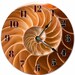 10.5 NAUTILUS SHELL Clock Living Room Clock Large 10.5 Wall Clock Home ...