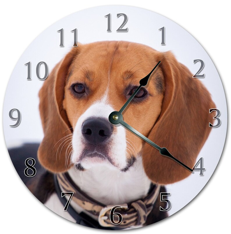 10.5 Adorable BEAGLE Dog Clock Living Room Clock - Etsy
