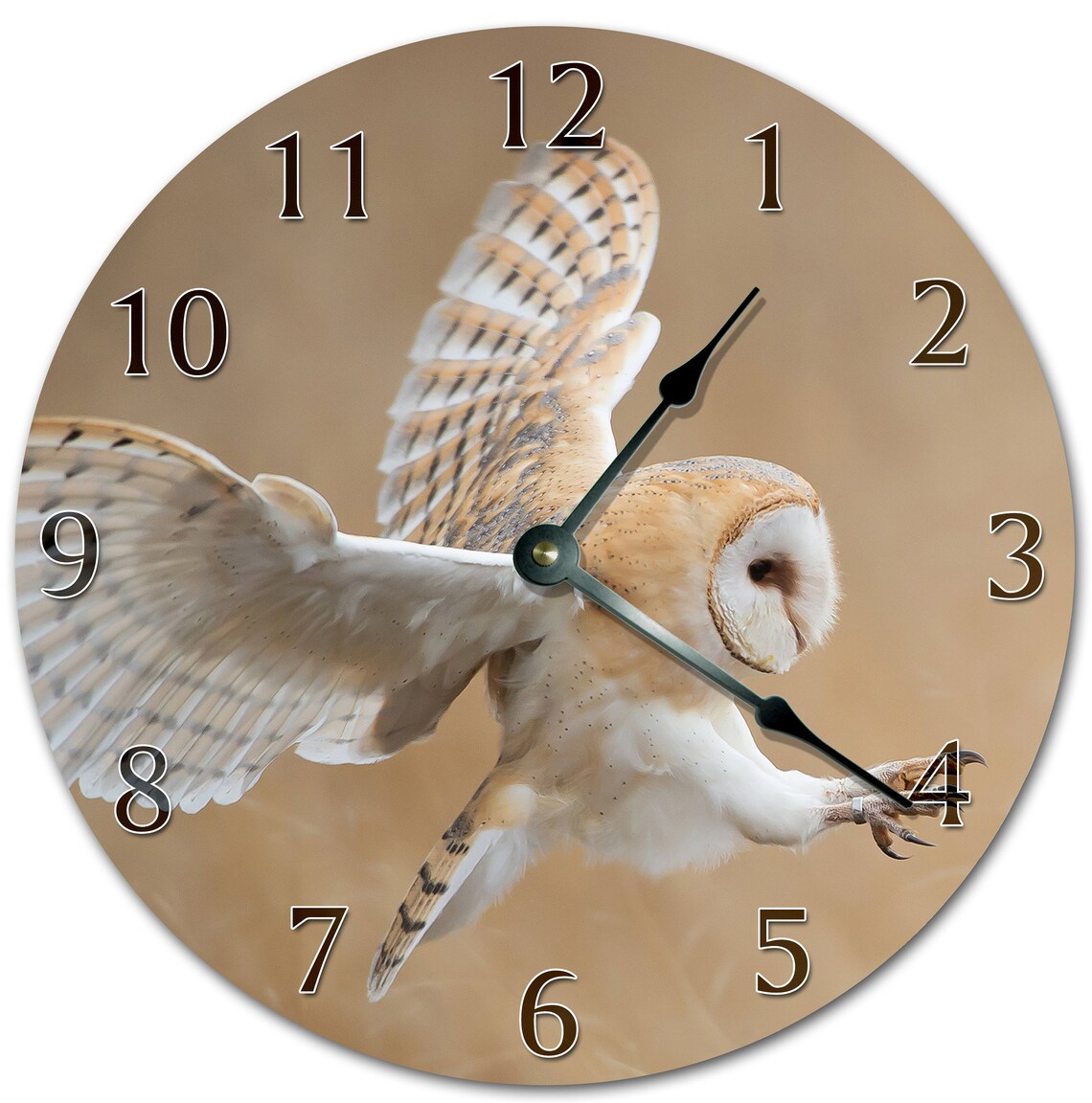 10.5 MARVELOUS BARN OWL Clock Living Room Clock | Etsy