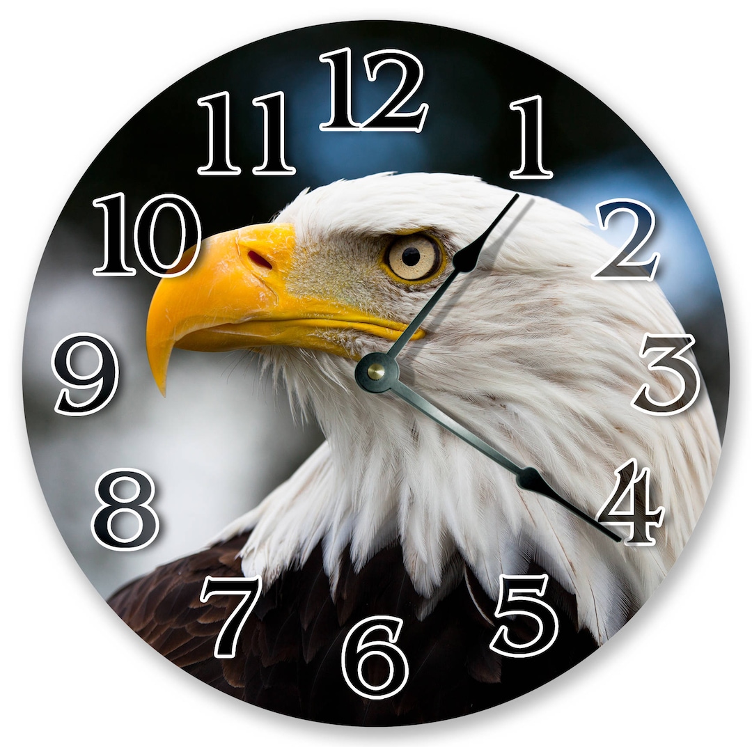 10.5 BALD HEAD EAGLE Clock Large 10.5 Wall Clock Accipitridae Round ...