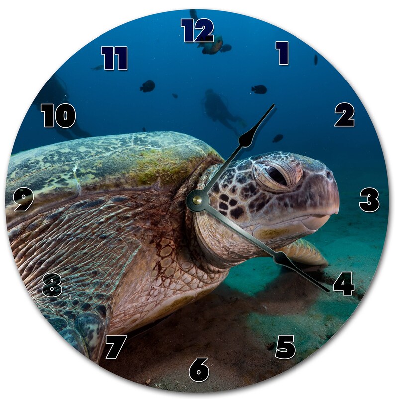 10.5 TURTLE UNDER the SEA Clock Living Room Clock - Etsy