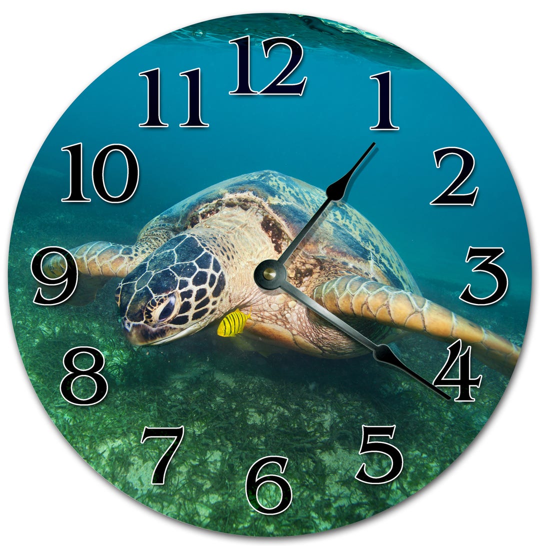 10.5" AMAZING SEA TURTLE Clock - Living Room Clock - Large 10.5" Wall ...