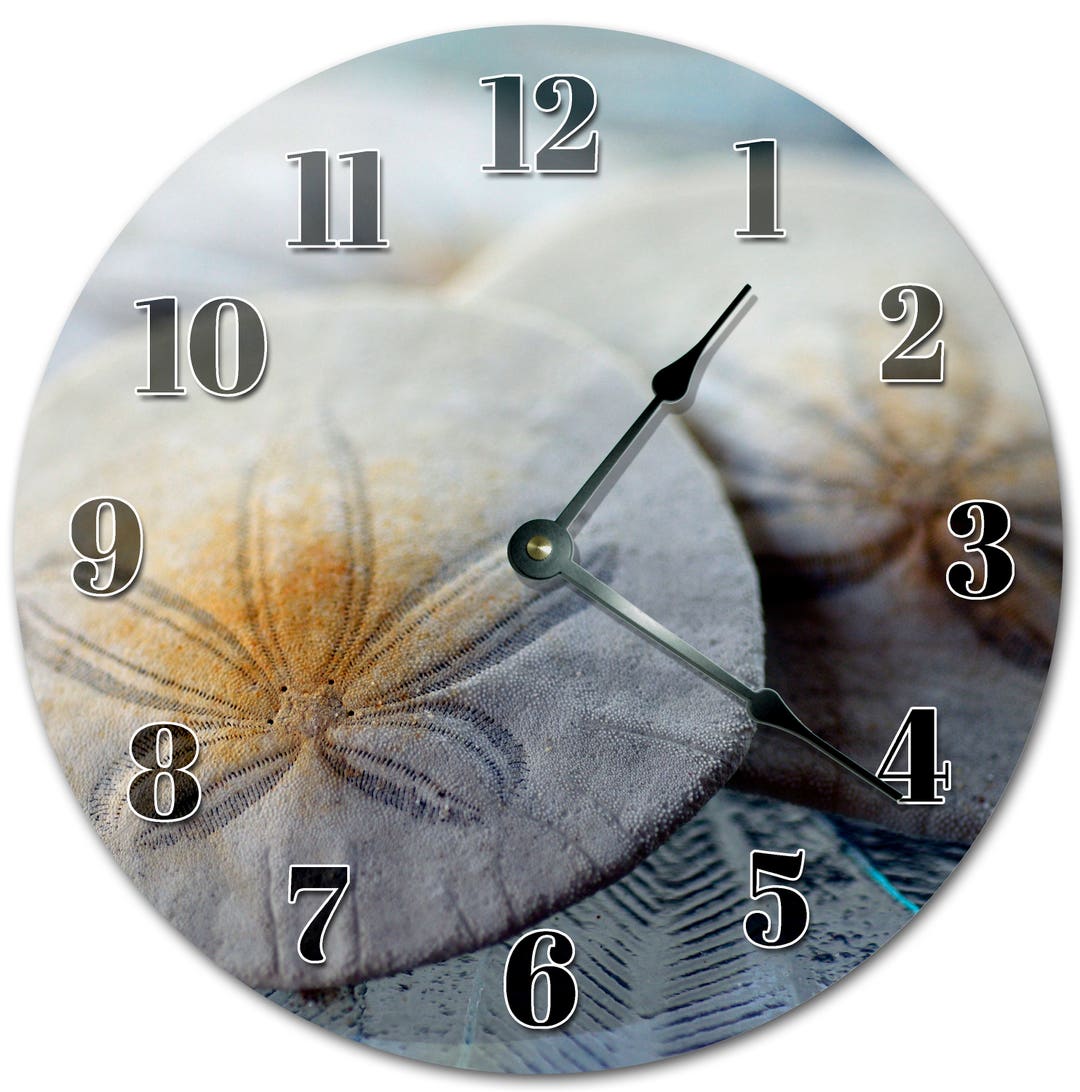 10.5" BEAUTIFUL SAND DOLLARS Clock - Living Room Clock - Large 10.5 ...