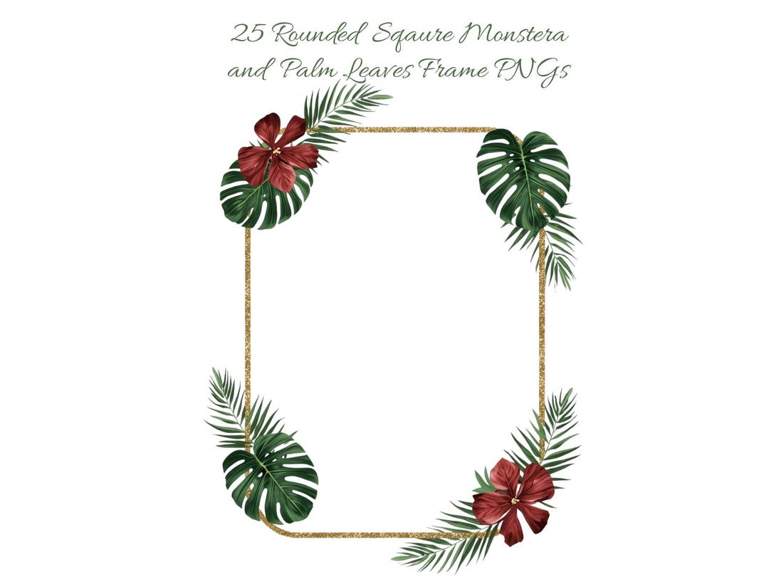 25 Rounded Square Monstera & Palm Frame Clipart PNG | Tropical ...