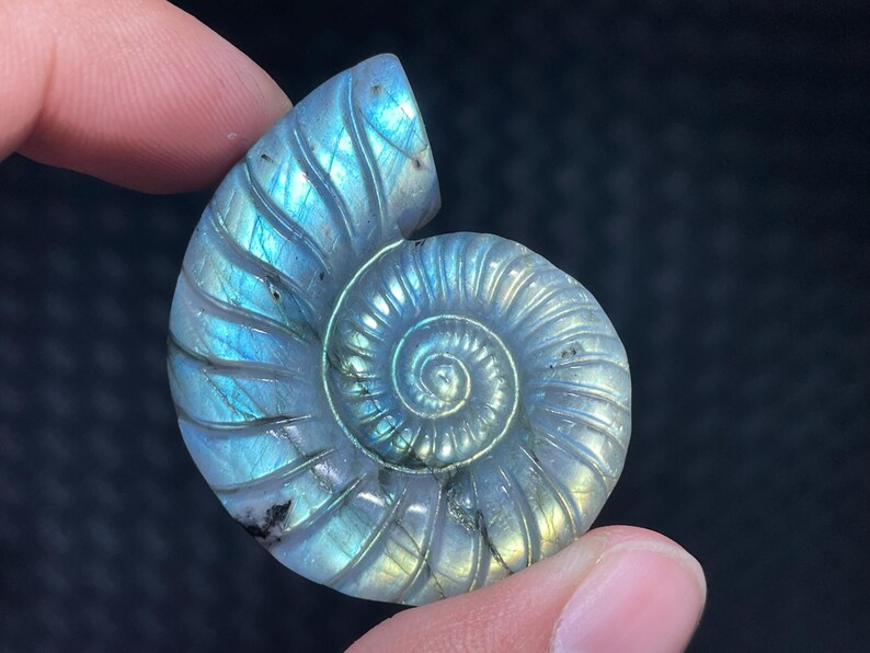1.5" Carved Labradorite Ammonite Conch Fossil Pendant,quartz Crystal ...