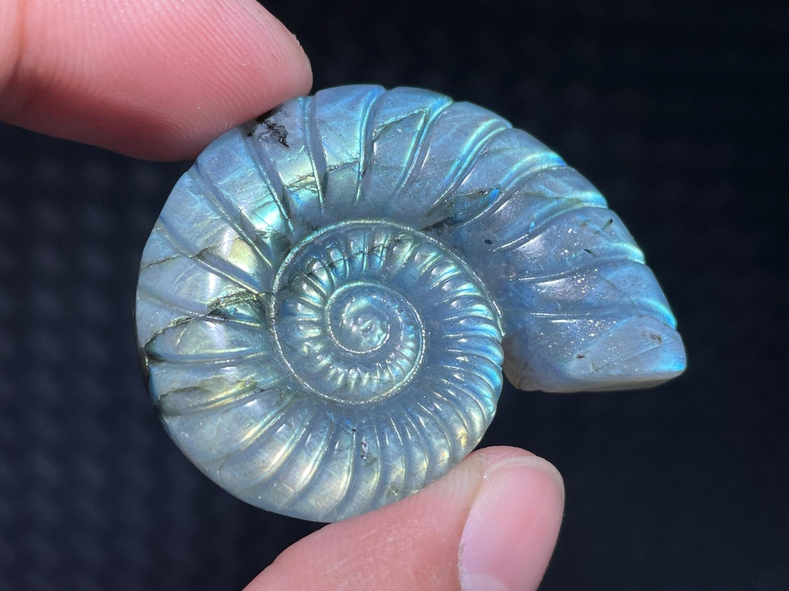 1.5" Carved Labradorite Ammonite Conch Fossil Pendant,quartz Crystal ...