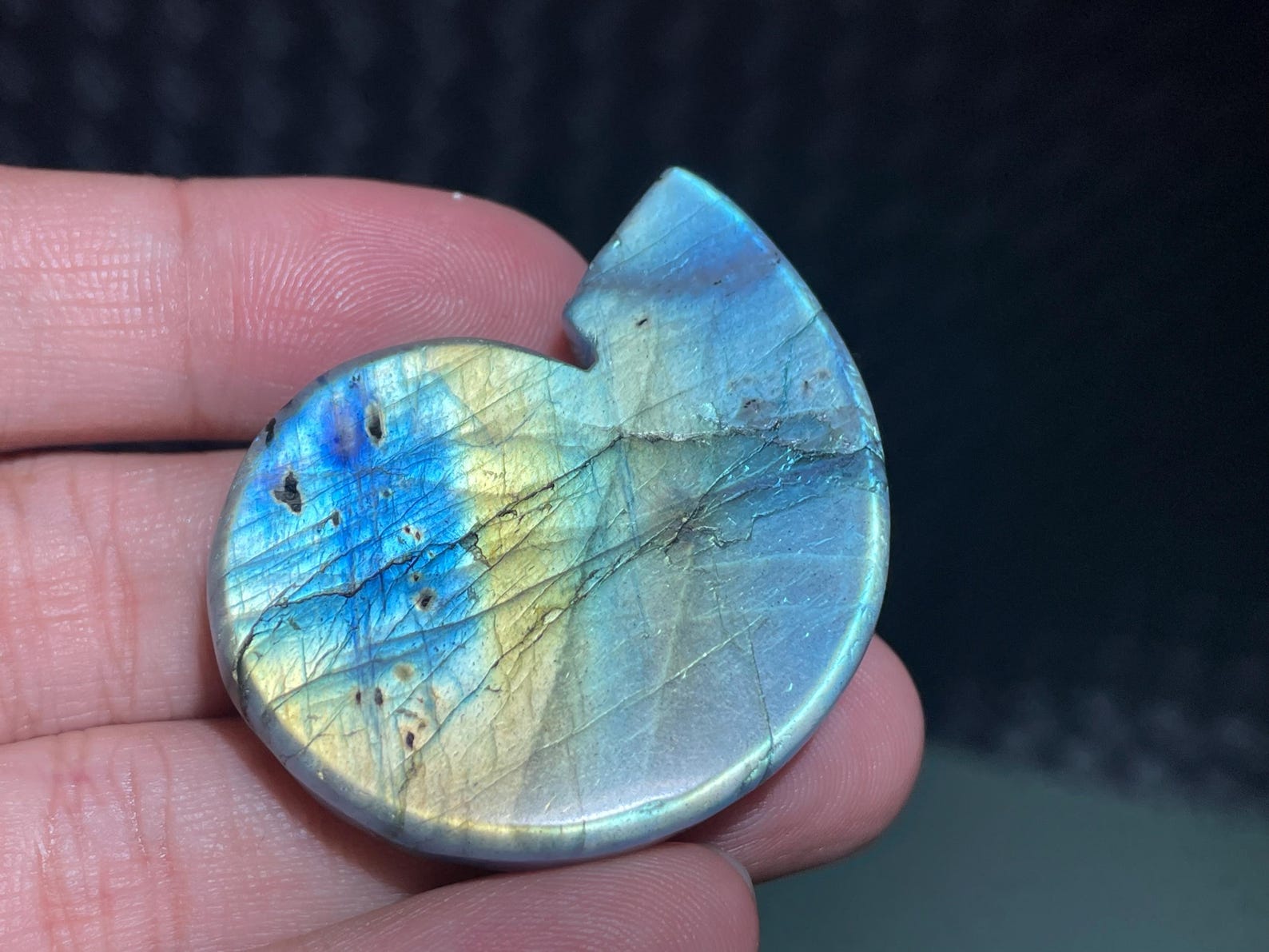 1.5" Carved Labradorite Ammonite Conch Fossil Pendant,quartz Crystal ...