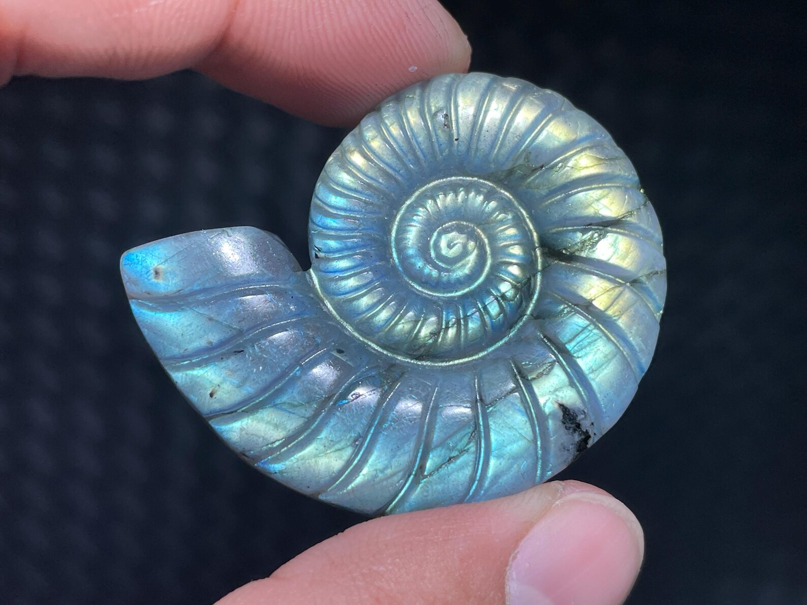 1.5" Carved Labradorite Ammonite Conch Fossil Pendant,quartz Crystal ...