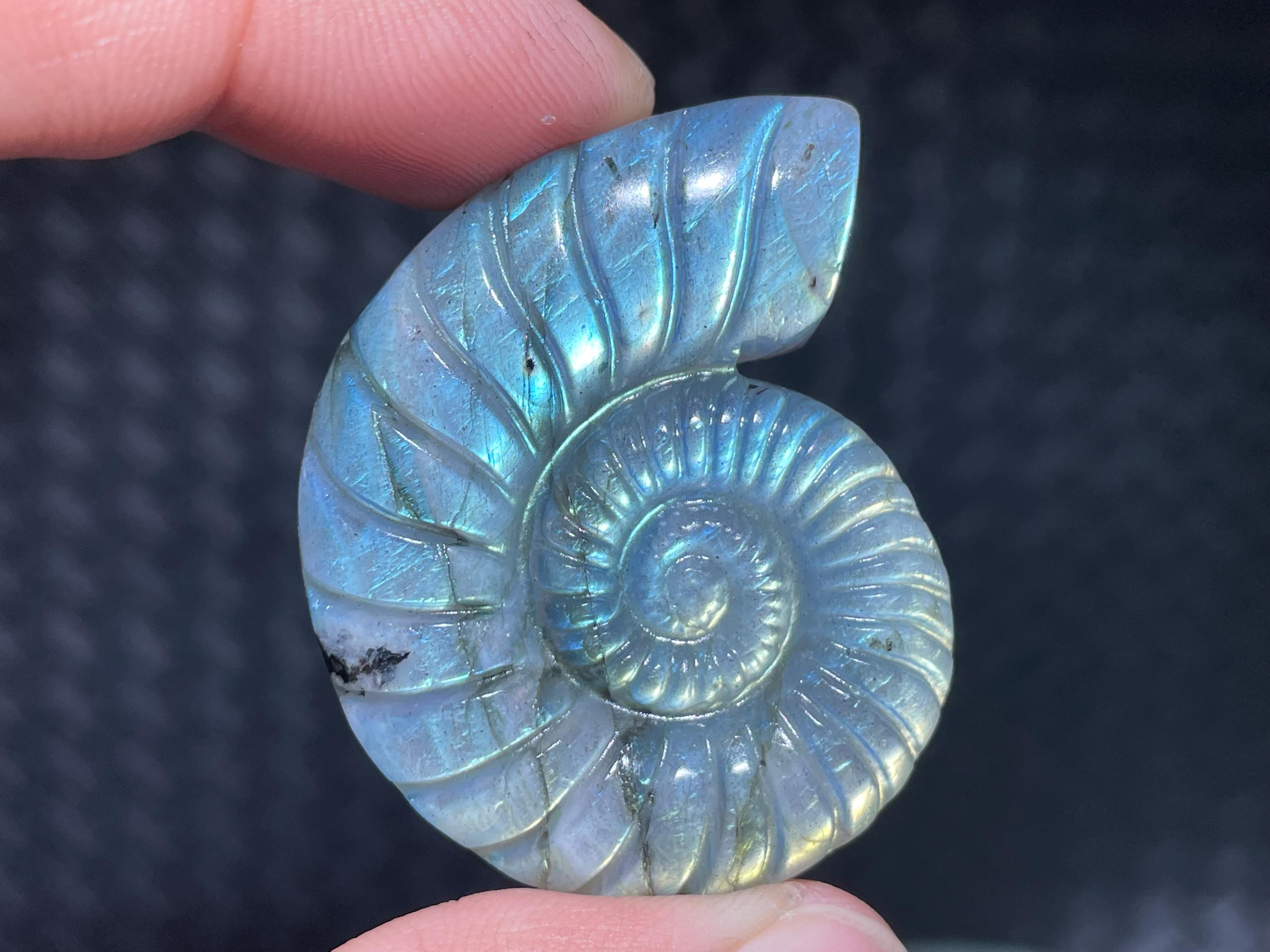1.5" Carved Labradorite Ammonite Conch Fossil Pendant,quartz Crystal ...