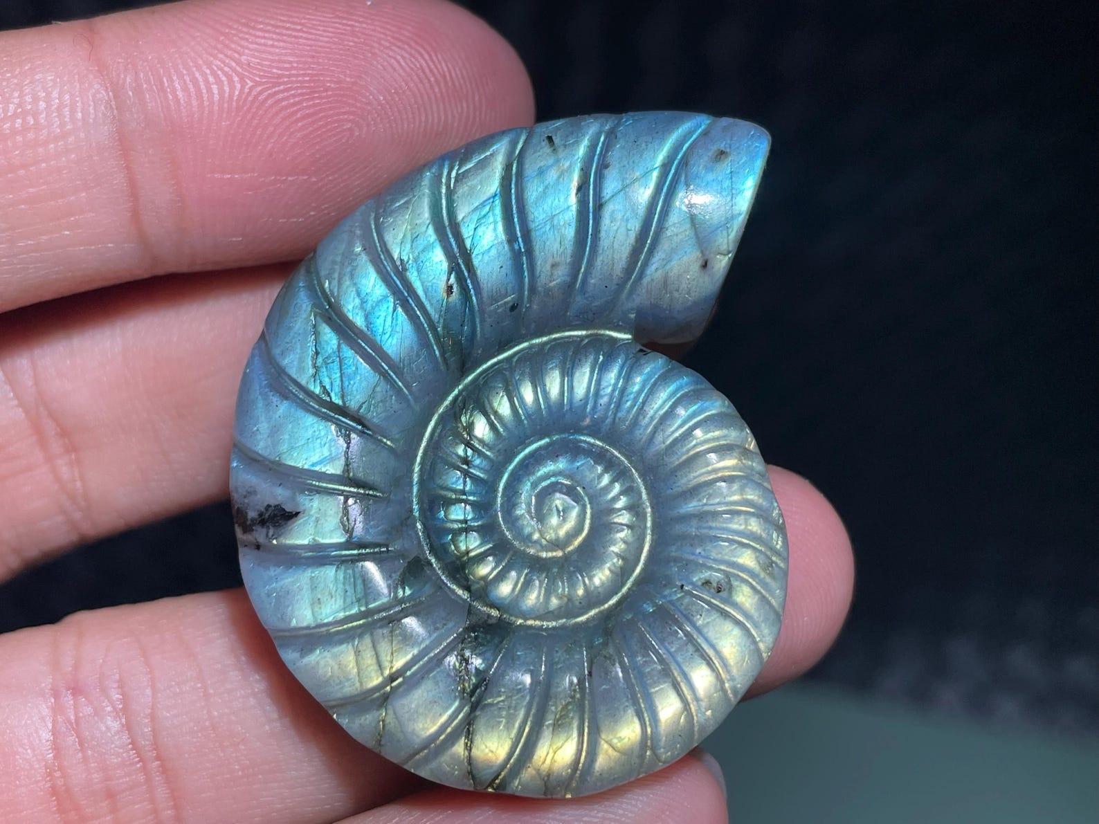 1.5" Carved Labradorite Ammonite Conch Fossil Pendant,quartz Crystal ...