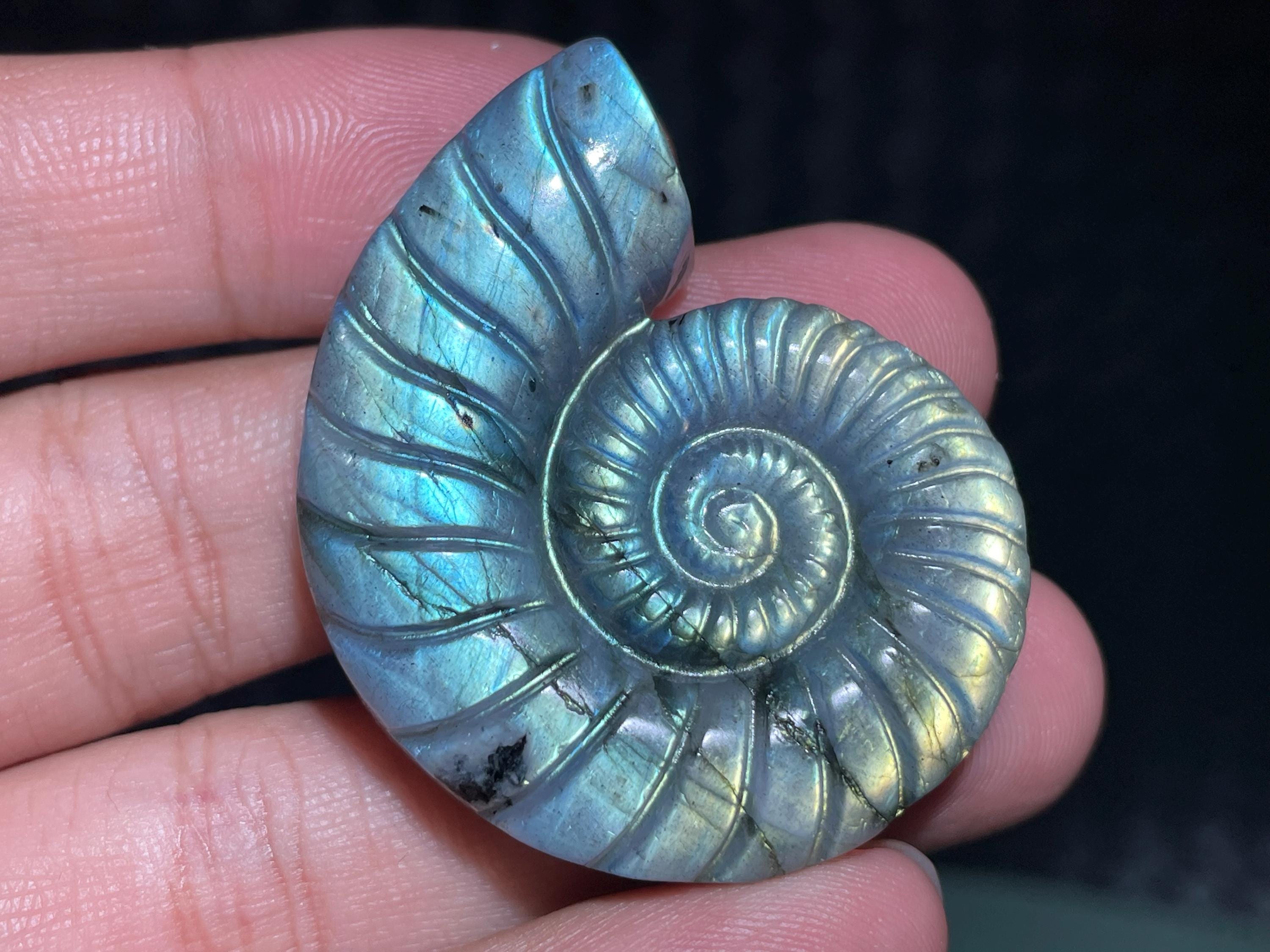 1.5" Carved Labradorite Ammonite Conch Fossil Pendant,quartz Crystal ...