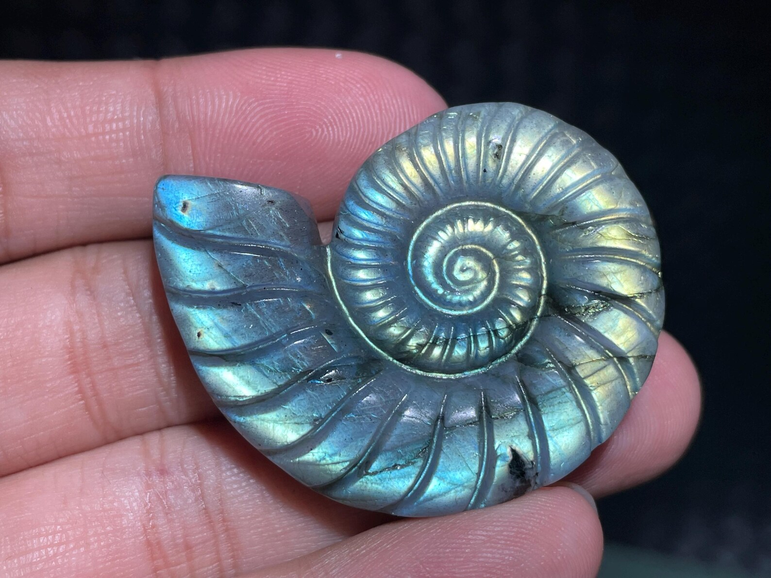1.5" Carved Labradorite Ammonite Conch Fossil Pendant,quartz Crystal ...