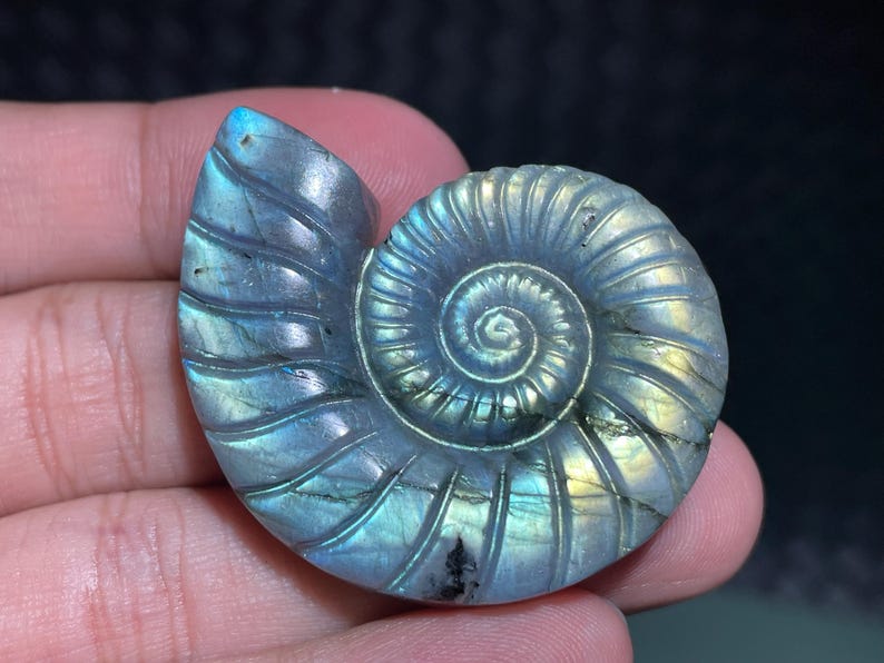 1.5" Carved Labradorite Ammonite Conch Fossil Pendant,quartz Crystal ...
