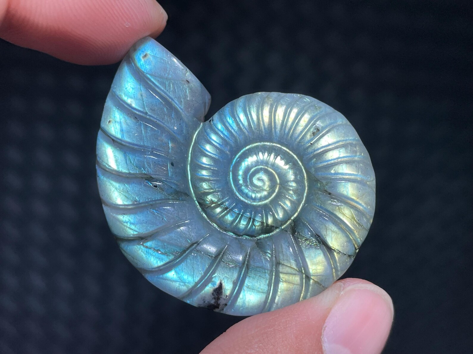 1.5" Carved Labradorite Ammonite Conch Fossil Pendant,quartz Crystal ...