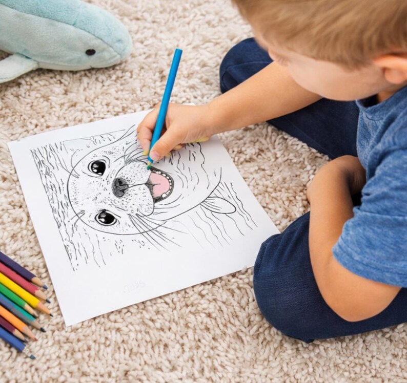 Hawaiian Monk Seal Coloring Page Printable | Cute Ocean Animal Coloring ...