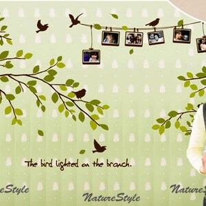 Branch With Flying Birds and Picture Frames vinyl Wall Decal,sticker ...