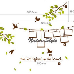 Branch With Flying Birds and Picture Frames vinyl Wall Decal,sticker ...