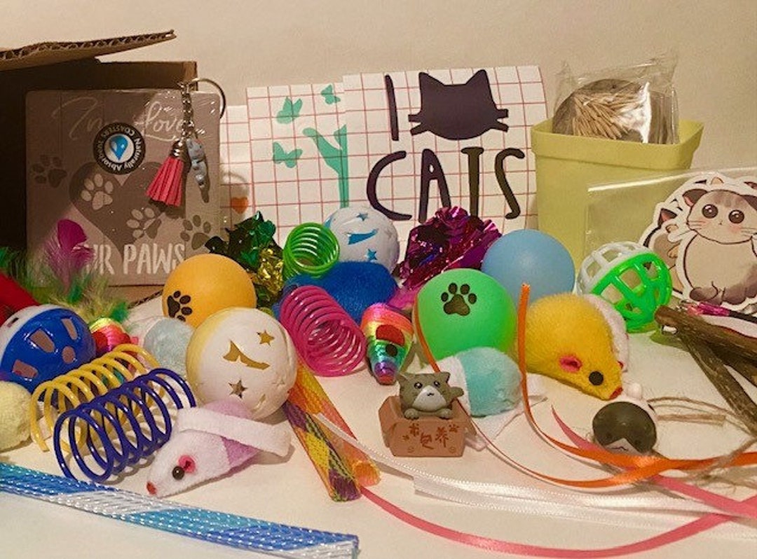 Cat Toy Mystery Box- Cat Kitten Kitty Toys Gift Unique Random Chance ...