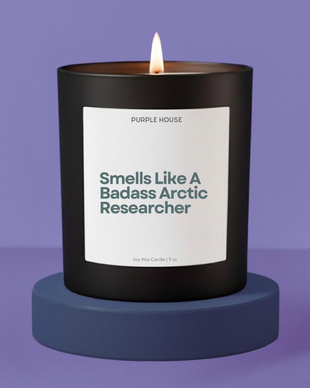 Arctic Researcher Birthday and Christmas Gift for Academia - Etsy