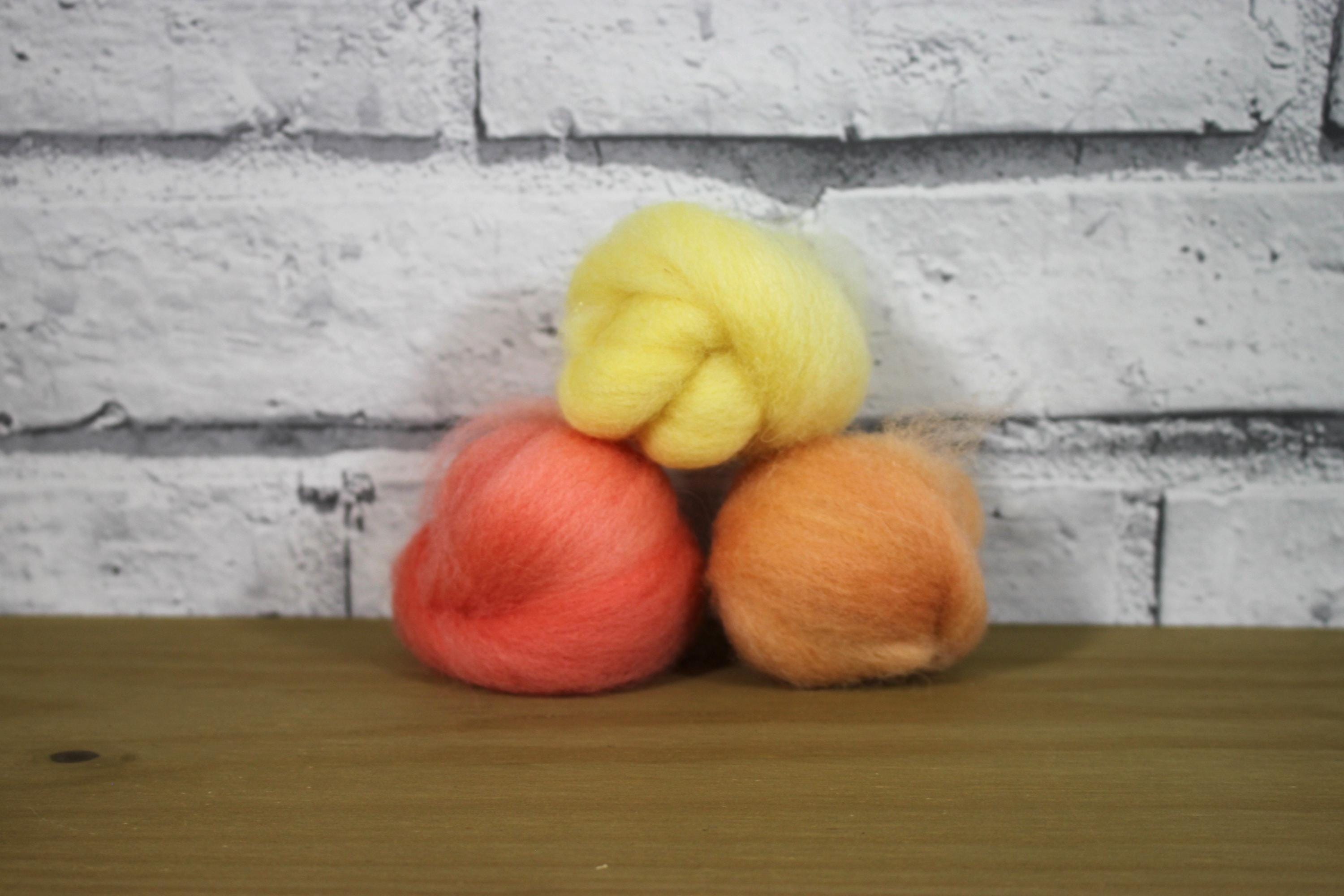 Wooly Buns Collection in Fruit Salad, Wool Roving Assortment, 6-piece ...