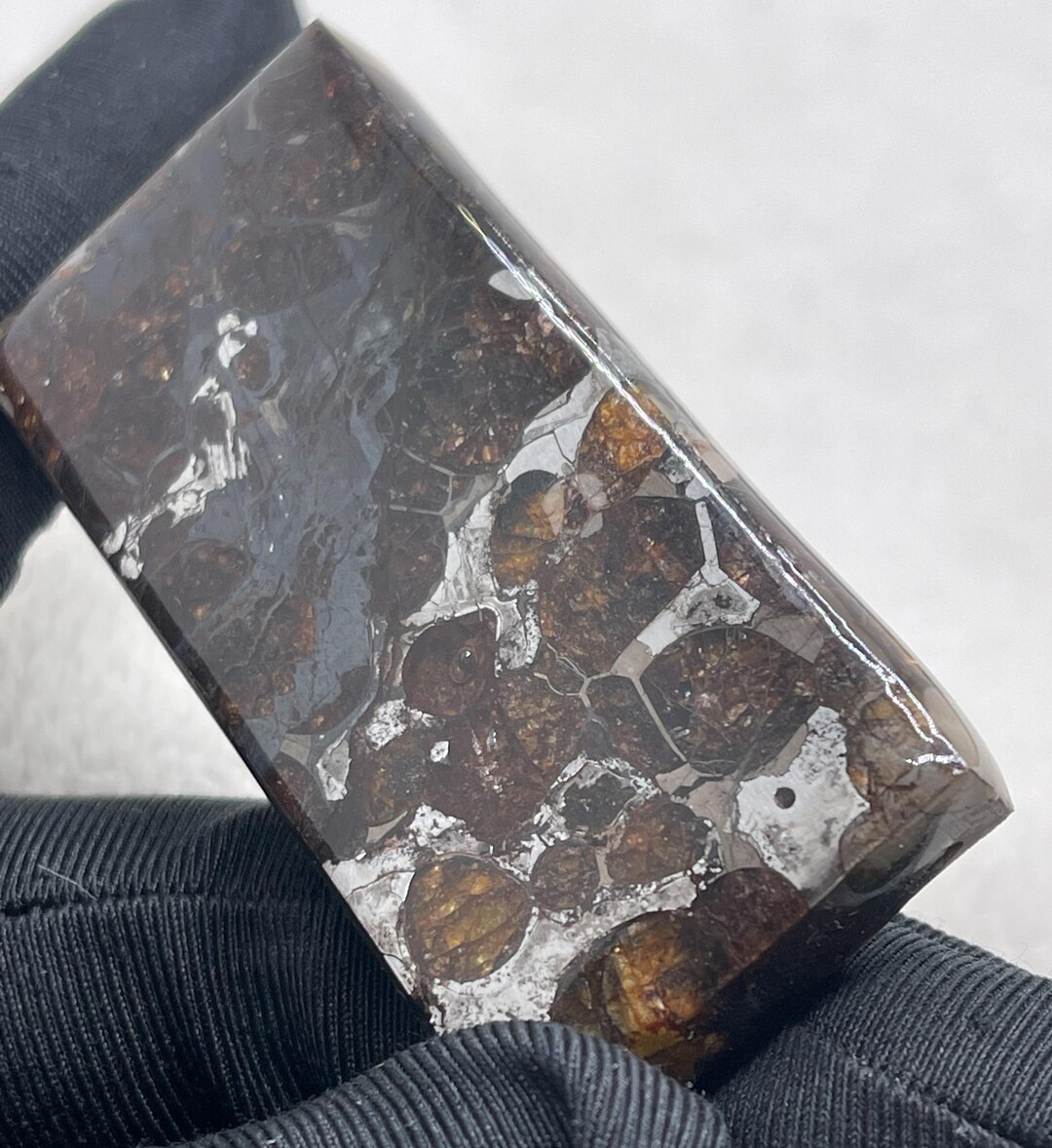 48.8g Seymchan Pallsite Meteorite Fragments Meteorite Accessories ...