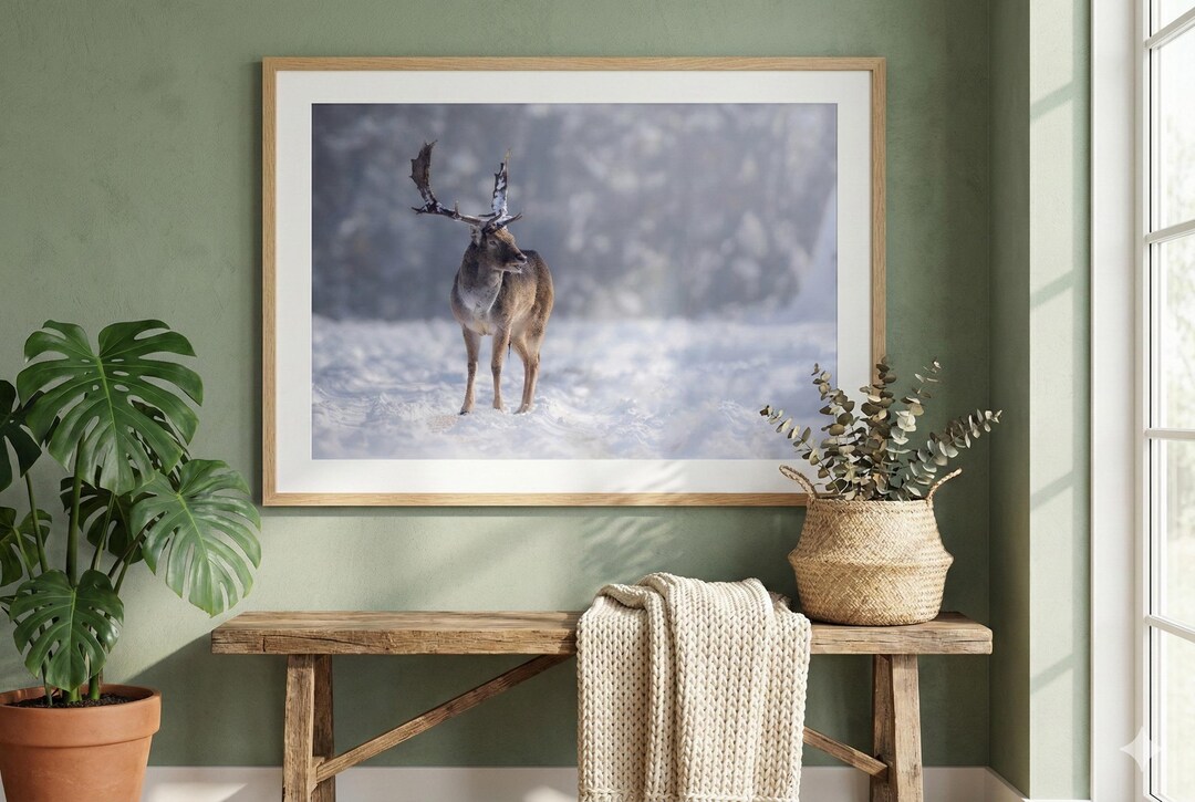 Winter Fallow Deer Print, Stag Wall Art, Frosty Nature Photography ...