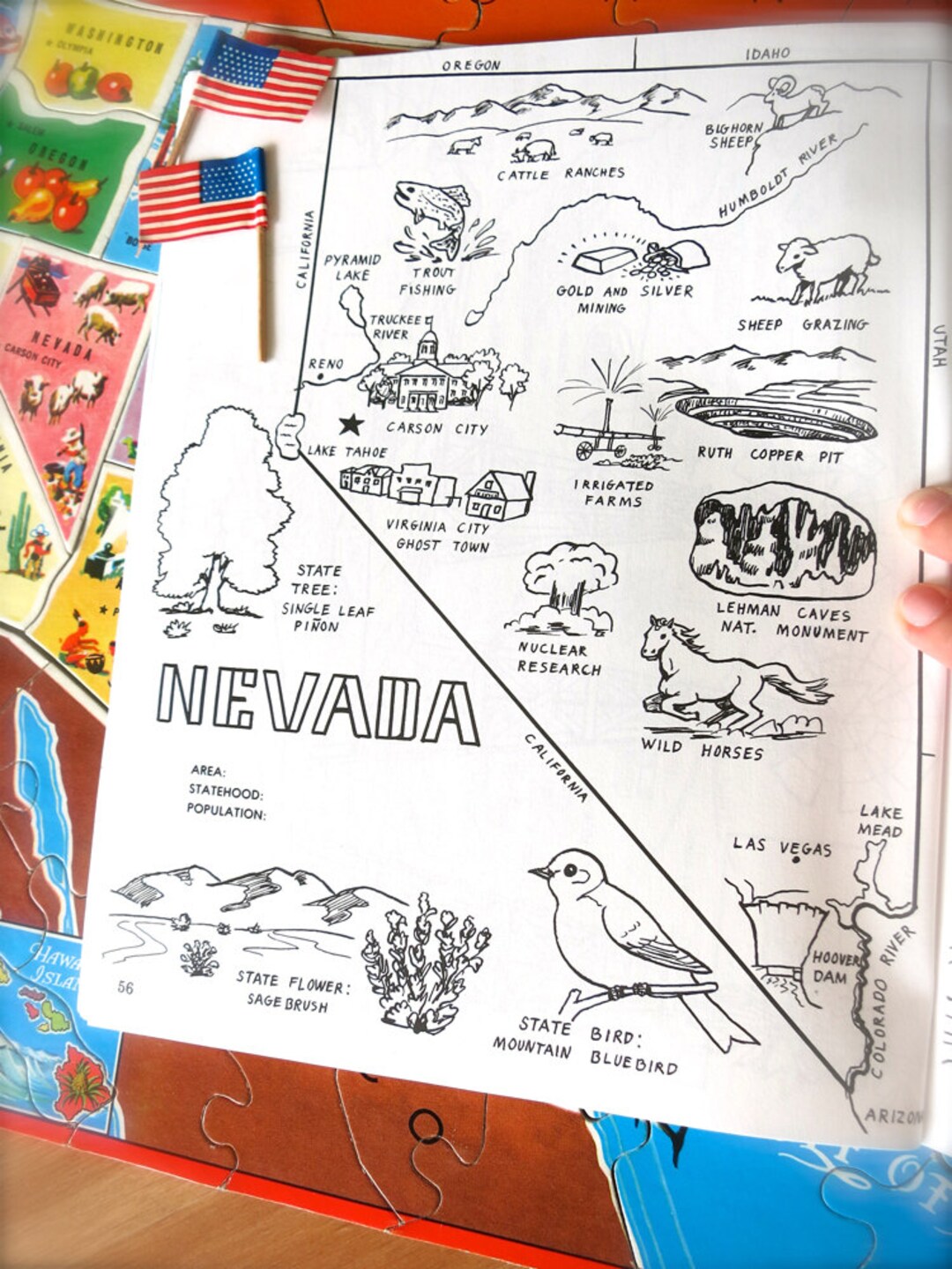 Vintage Nevada State Map-1980s Nevada Coloring Book Page-vintage Map ...