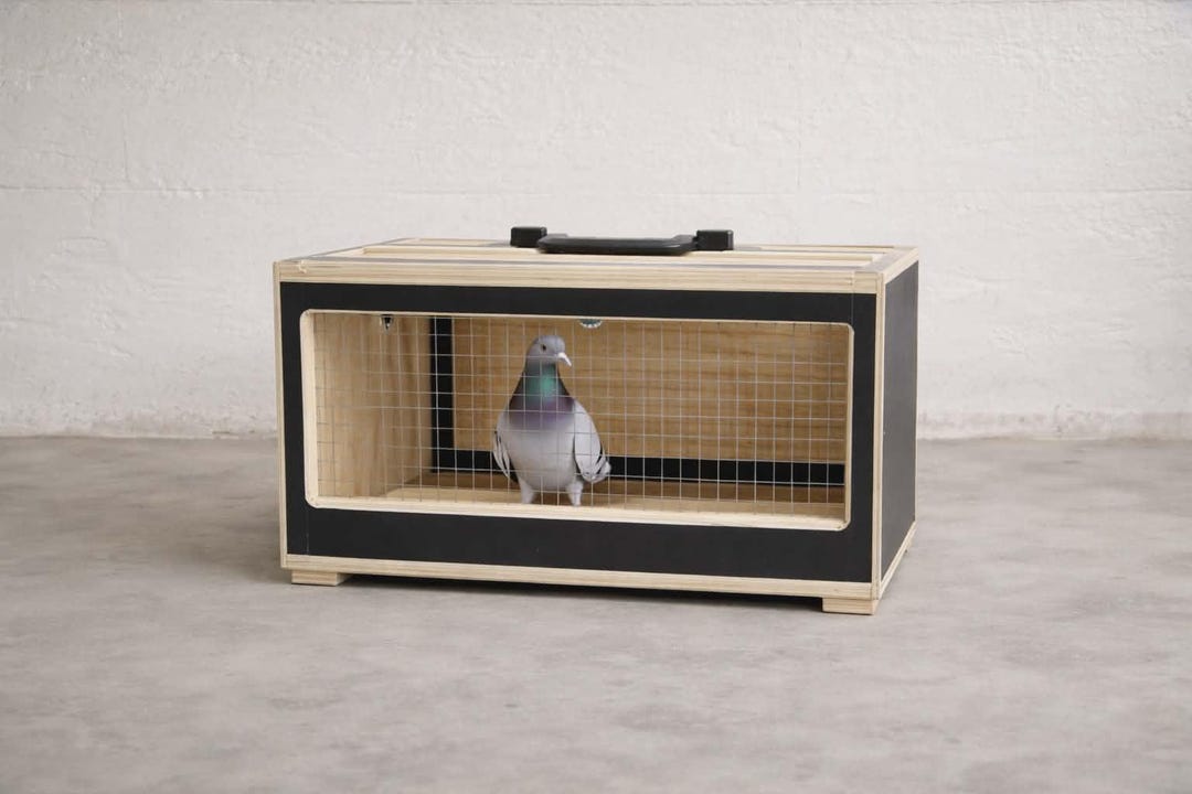 Pigeon Transport Cage | Wooden Pigeon Carrier | Exhibition & Show Cage ...